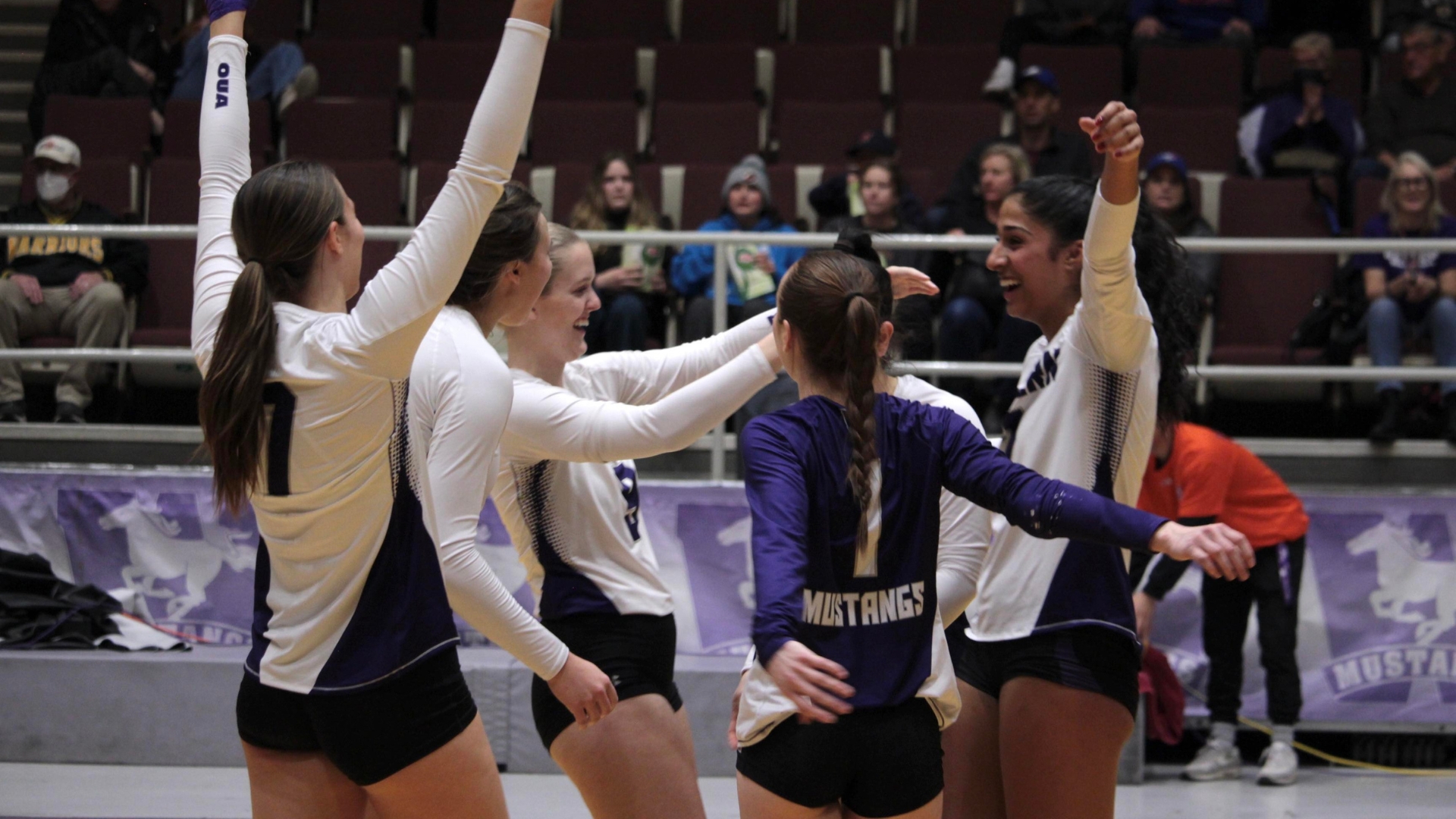 Mustangs take second win of the weekend over Trent - Western Mustangs ...