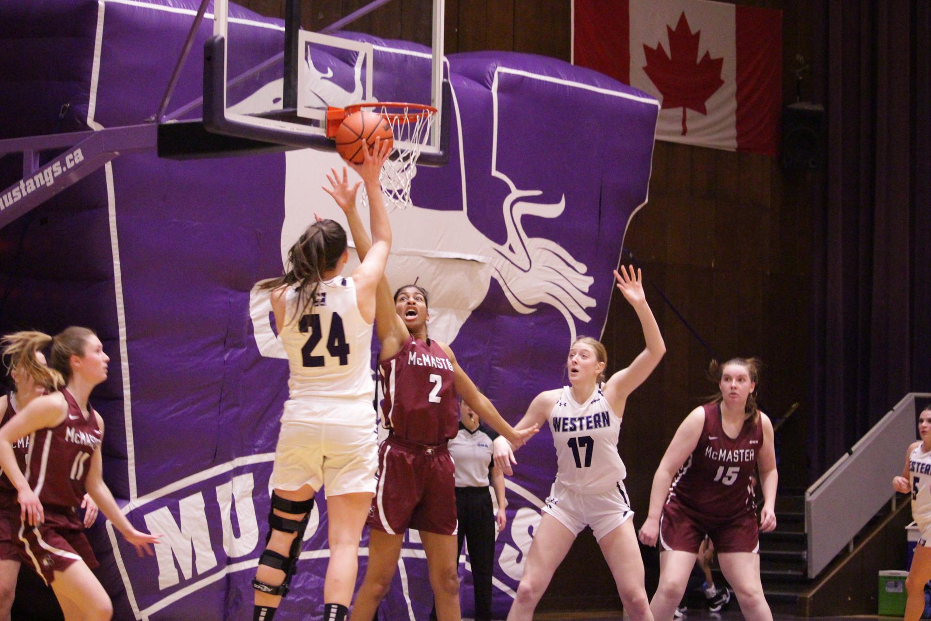 Skye Barbato - Women's Basketball - Western Mustangs Sports