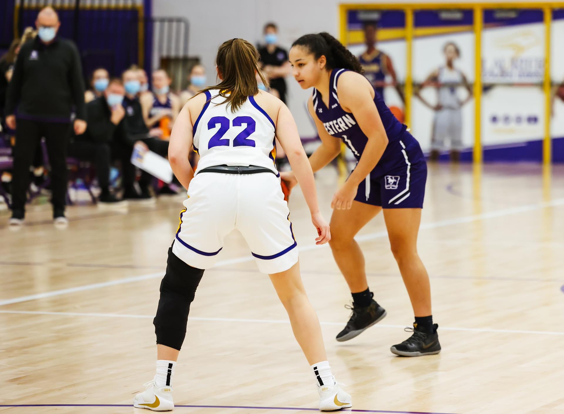 Back-to-back wins for the Mustangs, beating Laurier 59-57 - Western ...