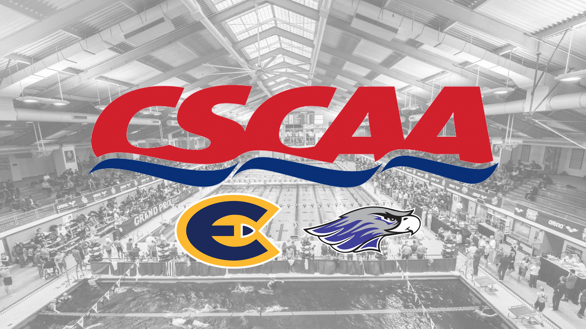 Three Receive CSCAA Scholar All-America Team Recognition - Wisconsin ...