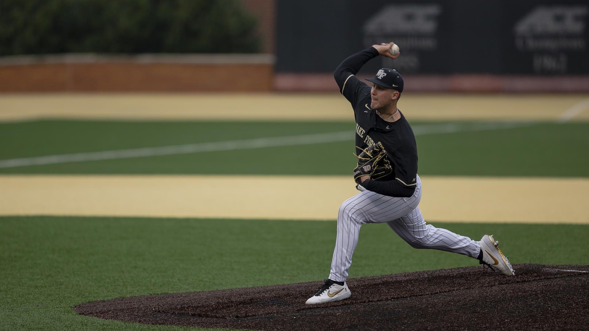 Cole McNamee - Baseball - Wake Forest University Athletics